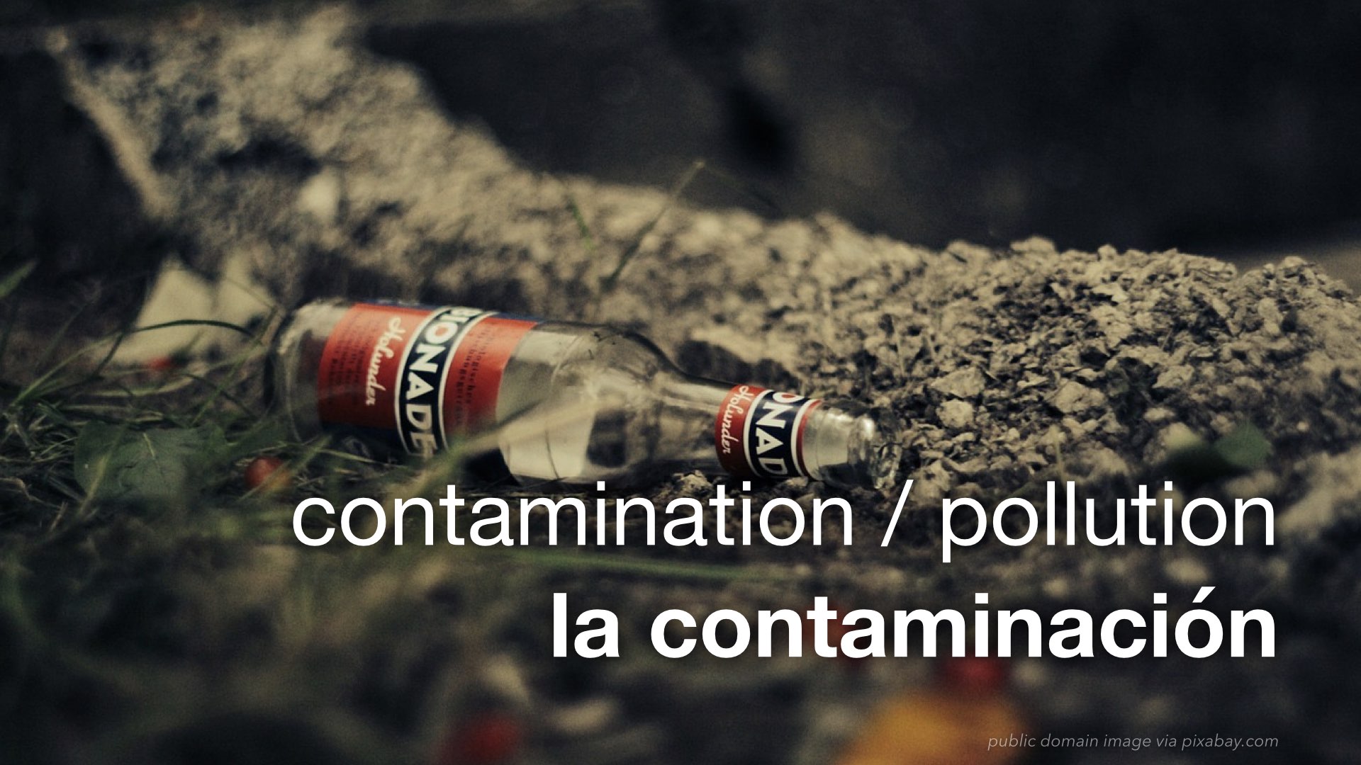 Spanish Vocabulary: The Environment : The LEAF Project