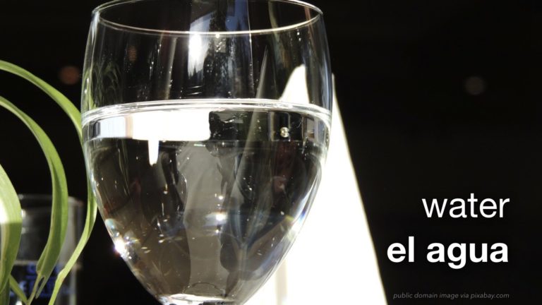 Spanish Vocabulary: Culinary – Restaurants : The LEAF Project
