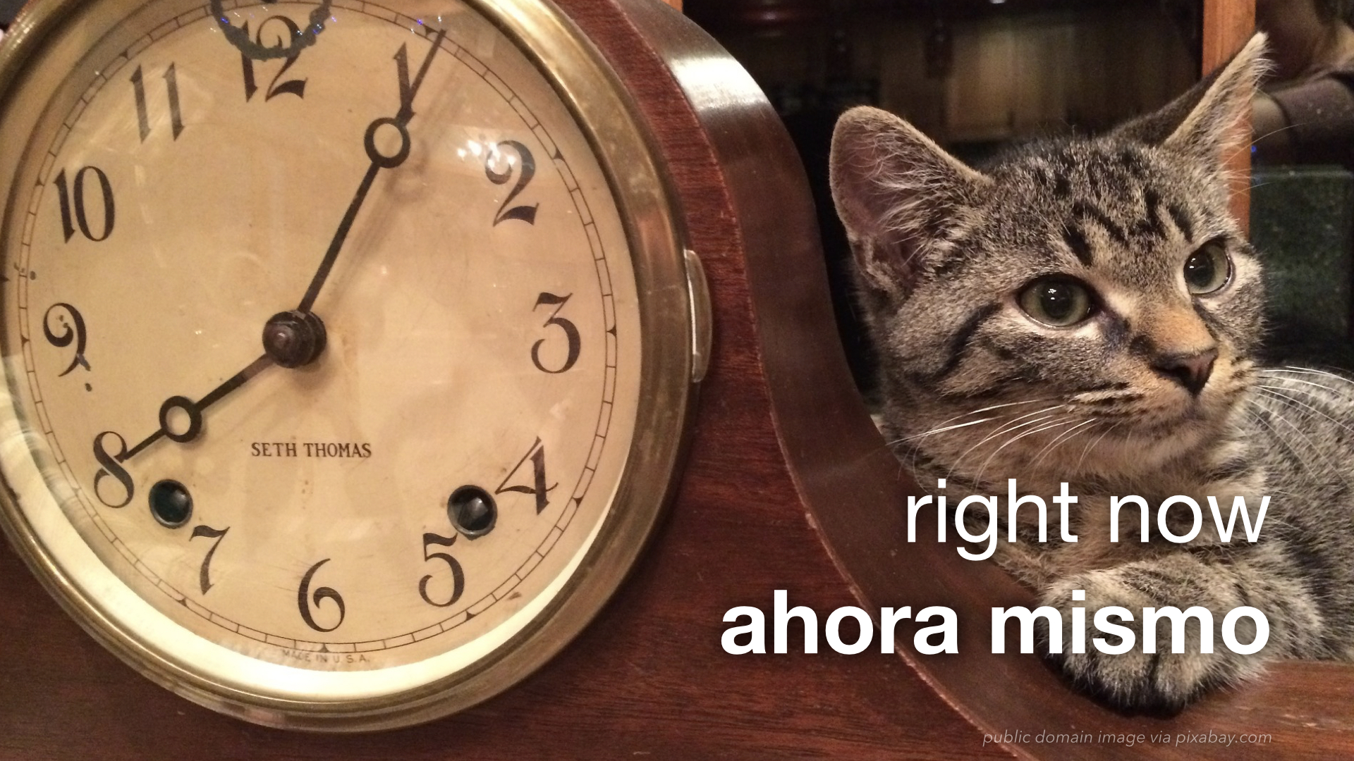 Spanish Vocabulary: Expressions of Time – Present/Future : The LEAF Project