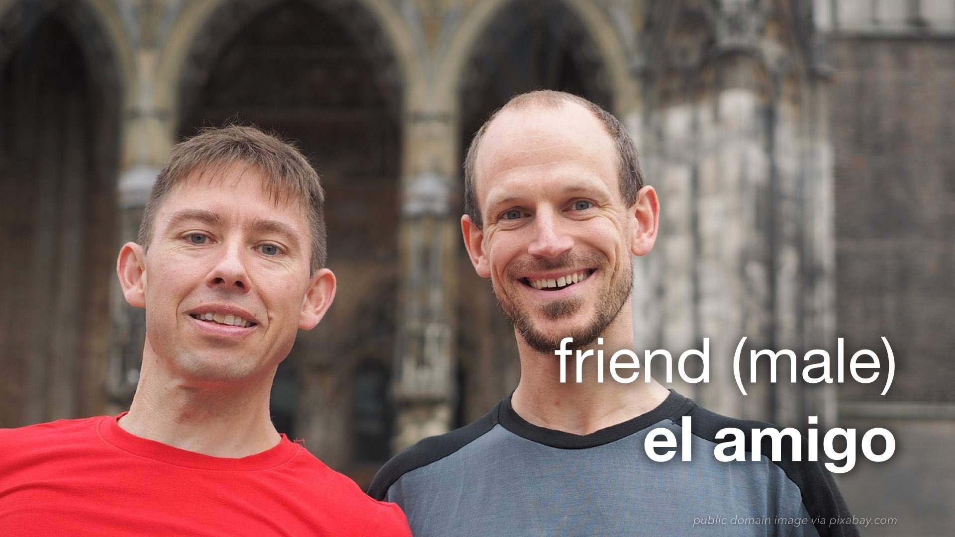 Spanish Vocabulary: Family Members – Basic : The LEAF Project