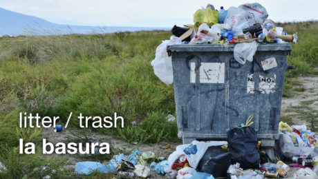 Spanish Vocabulary: Earth Day : The LEAF Project