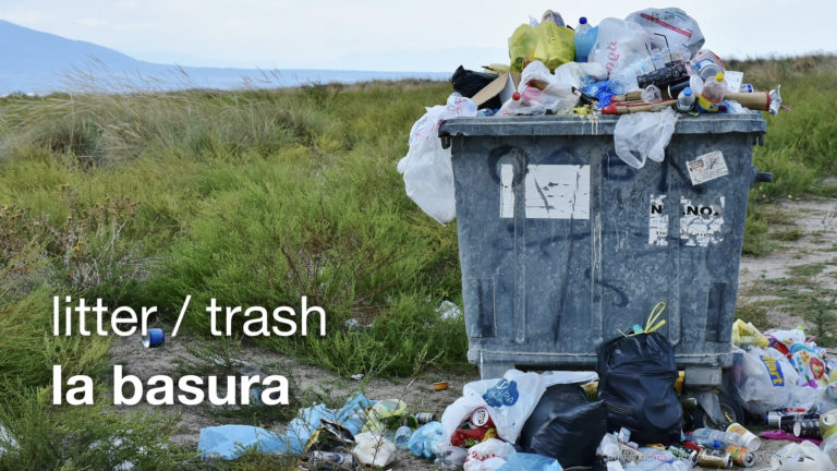 Spanish Vocabulary: Earth Day : The LEAF Project