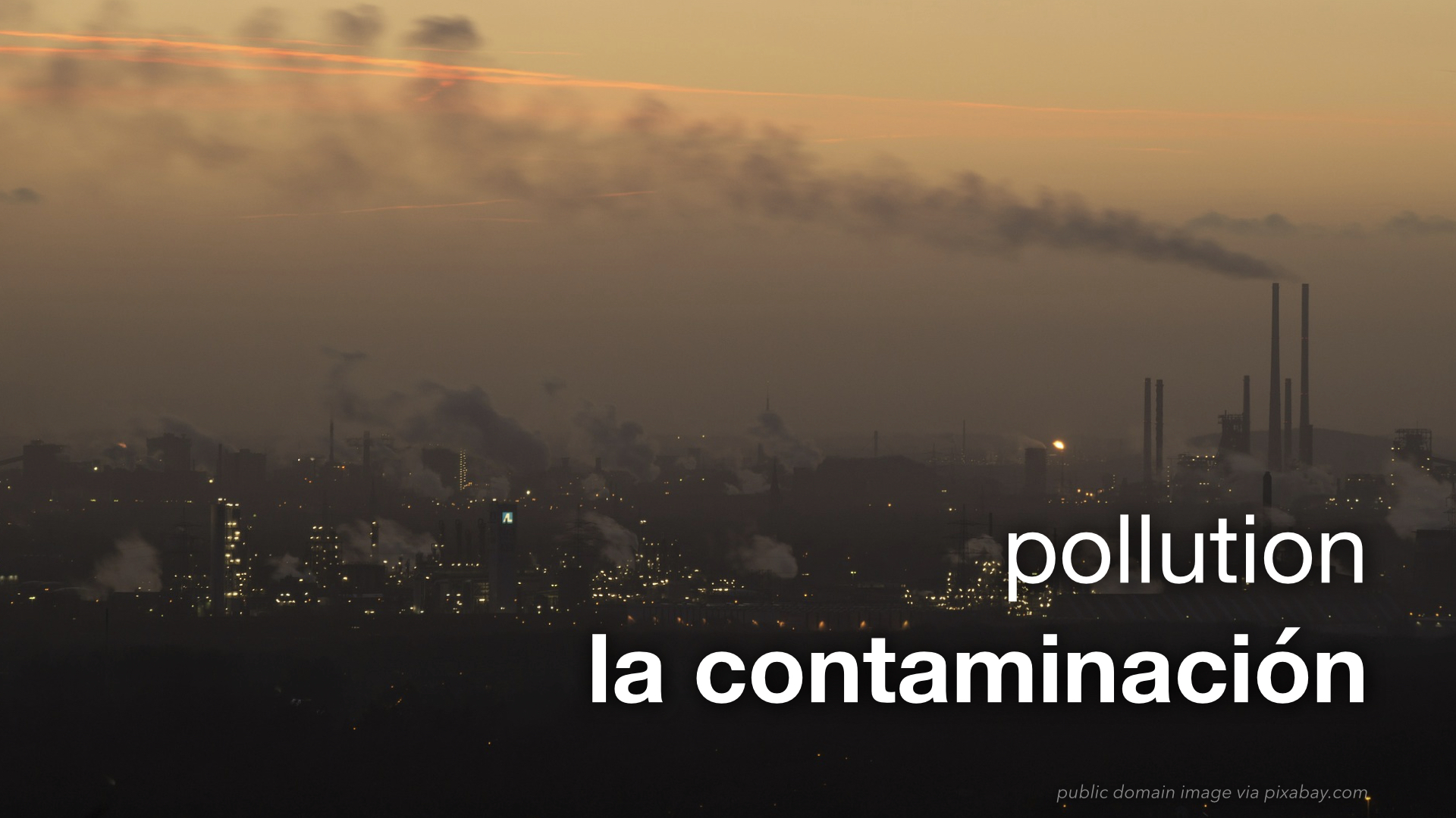 Spanish Vocabulary: Earth Day : The LEAF Project