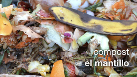 Spanish Vocabulary: Earth Day : The LEAF Project