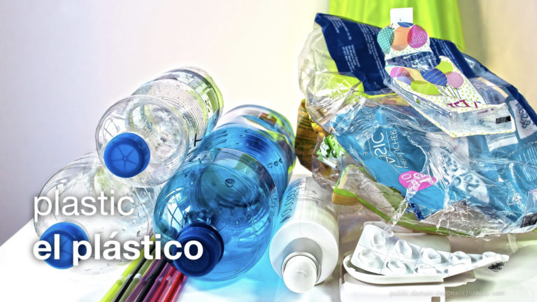 Spanish Vocabulary: Earth Day : The LEAF Project