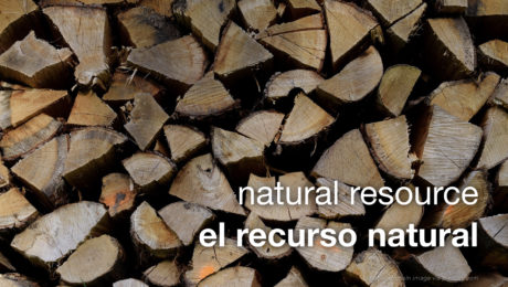 Spanish Vocabulary: Earth Day : The LEAF Project