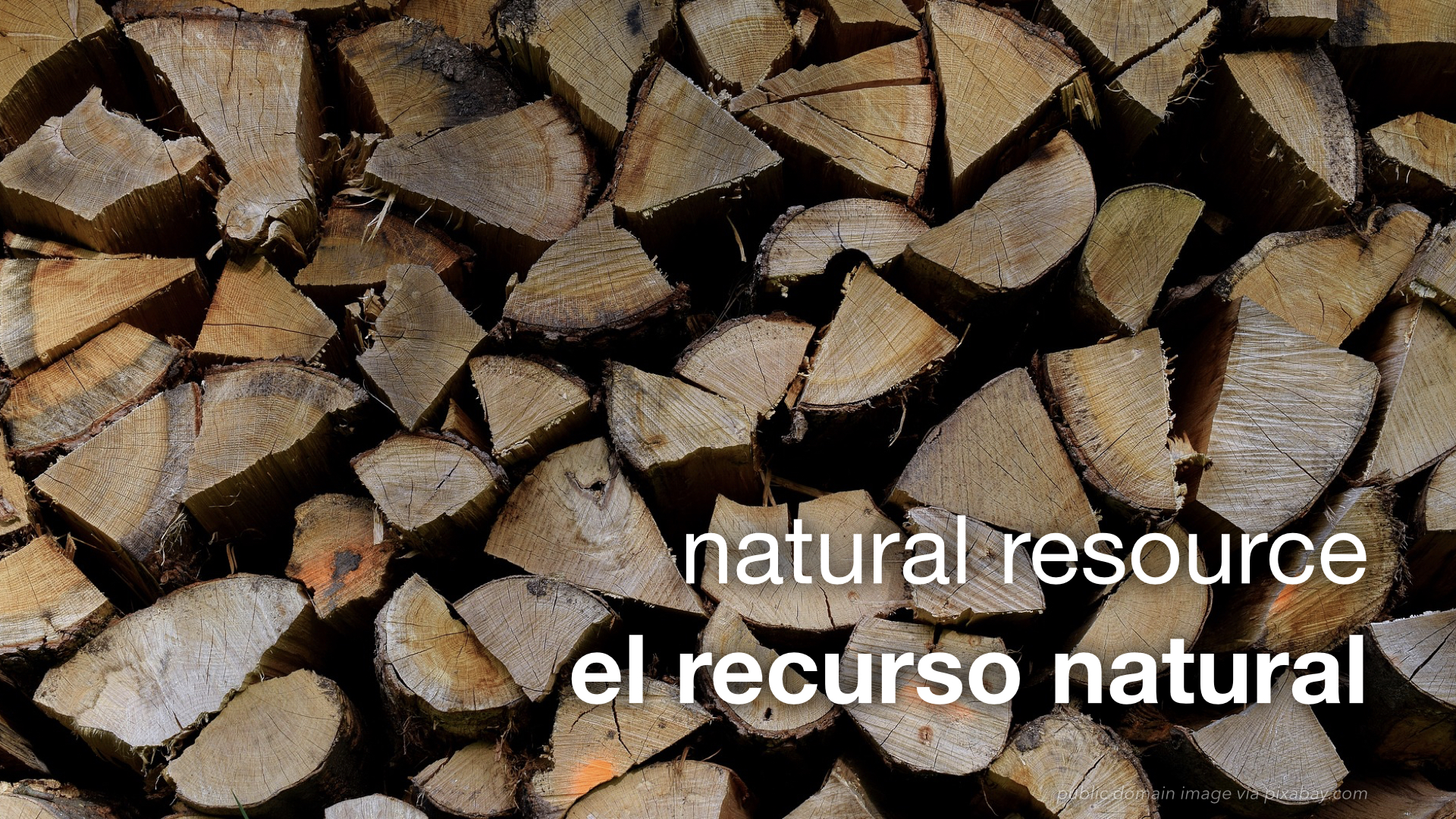 Spanish Vocabulary: Earth Day : The LEAF Project