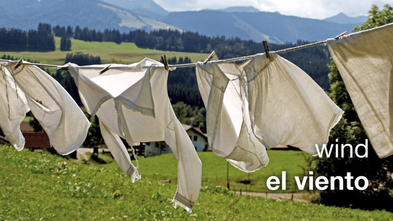 Spanish Vocabulary: Earth Day : The LEAF Project