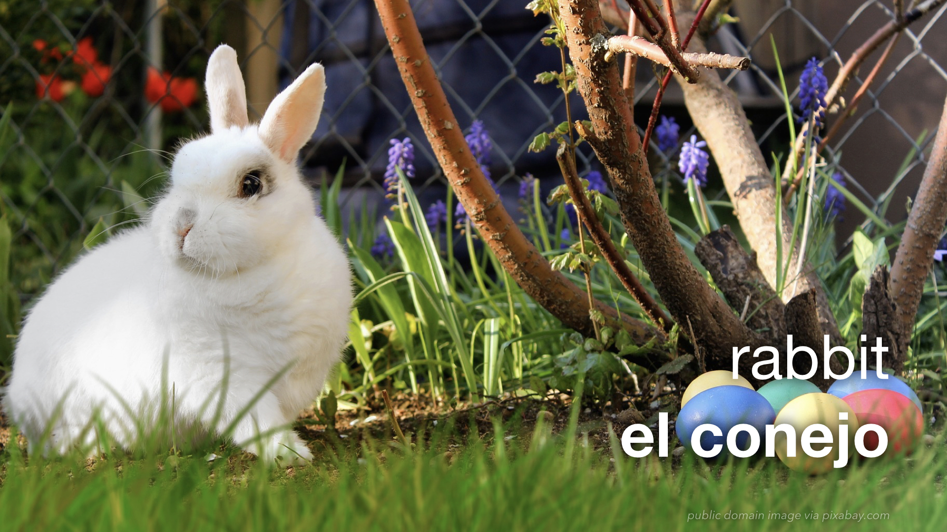 Spanish Vocabulary: Holy Week and Easter : The LEAF Project