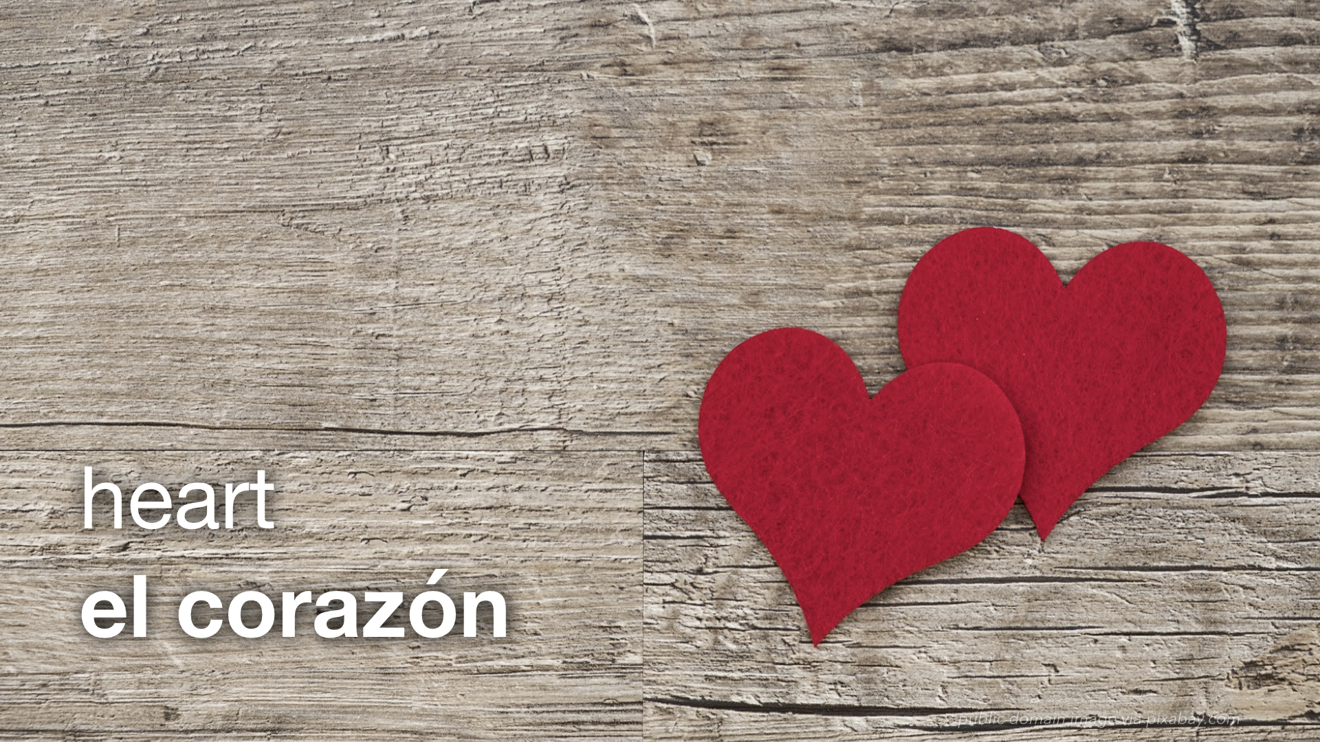 Spanish Vocabulary: St. Valentine’s Day : The LEAF Project