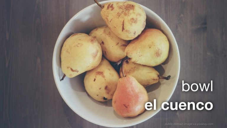 Spanish Vocabulary: Dining Room : The LEAF Project