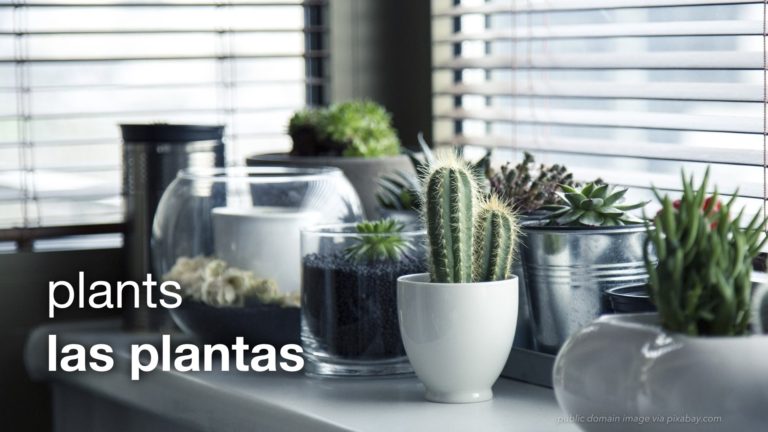 Spanish Vocabulary: Dining Room : The LEAF Project