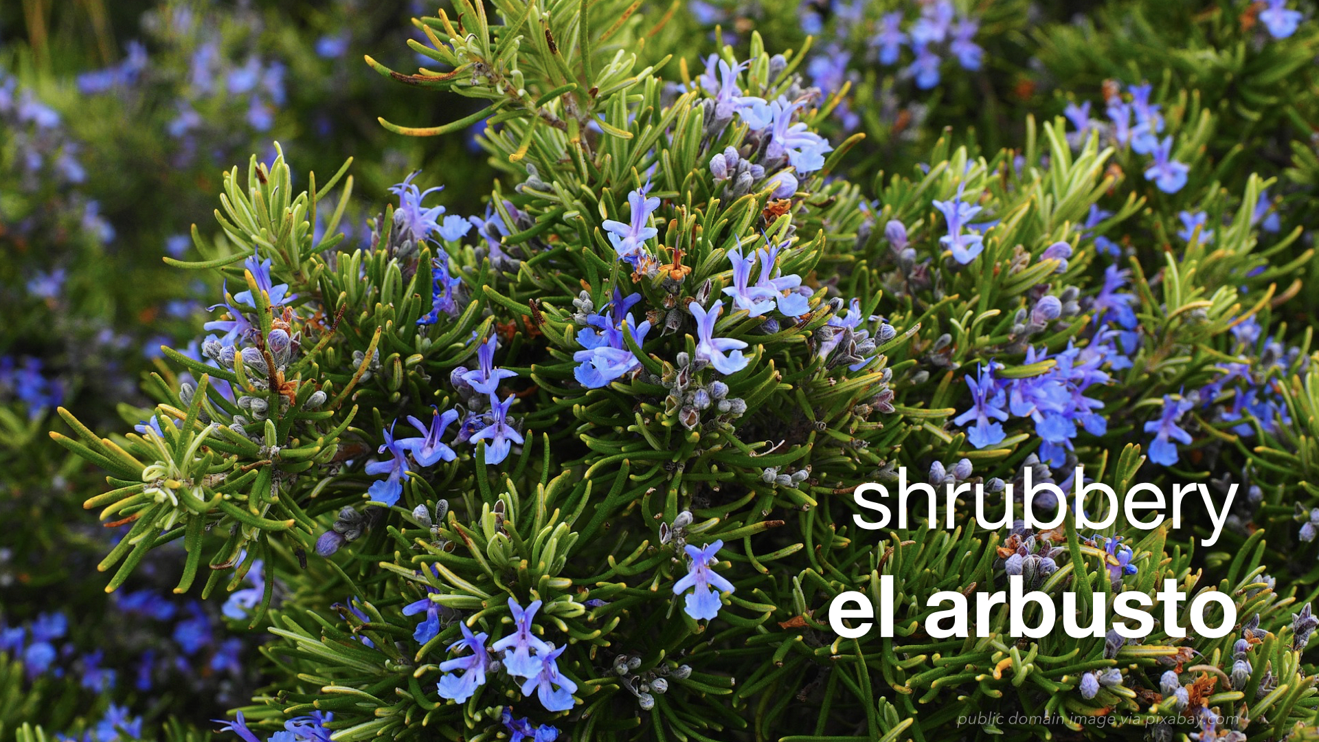 Spanish Vocabulary: Hospitality – Landscaping and Grounds : The LEAF ...