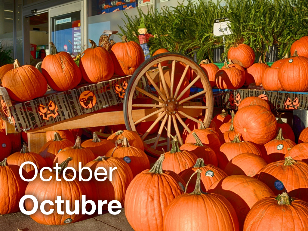 LEAF Spanish Photo Flashcards – October / Octubre : The LEAF Project