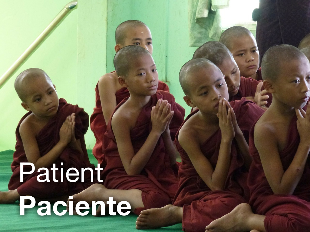 LEAF Spanish Photo Flashcards – Patient / Paciente : The LEAF Project