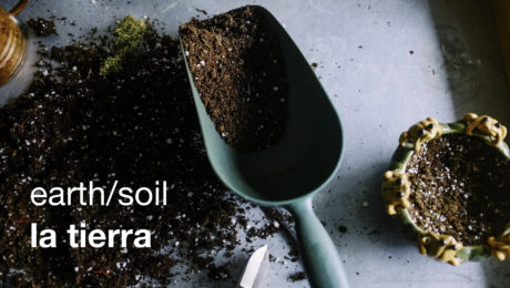 Spanish Vocabulary: Plants : The LEAF Project