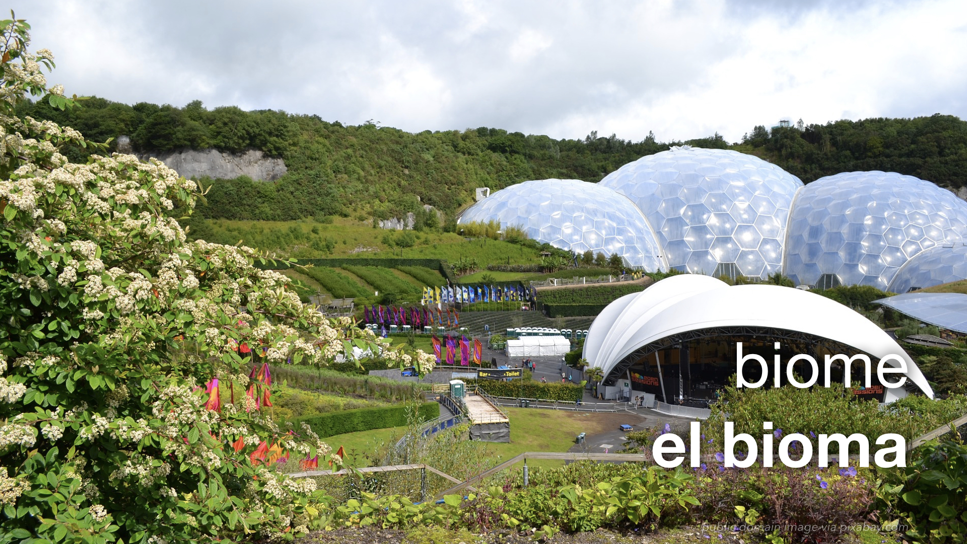 Spanish Vocabulary: The Rainforest : The LEAF Project