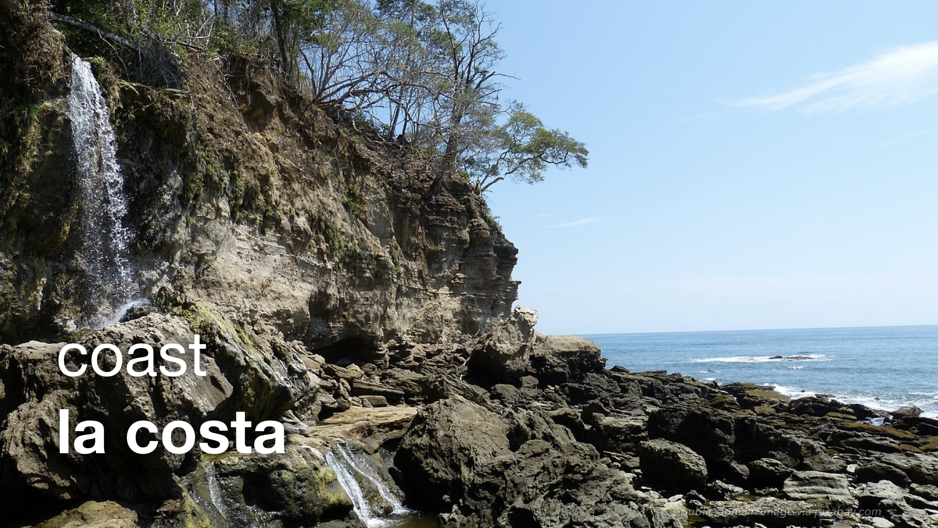 Spanish Vocabulary: The Rainforest : The LEAF Project