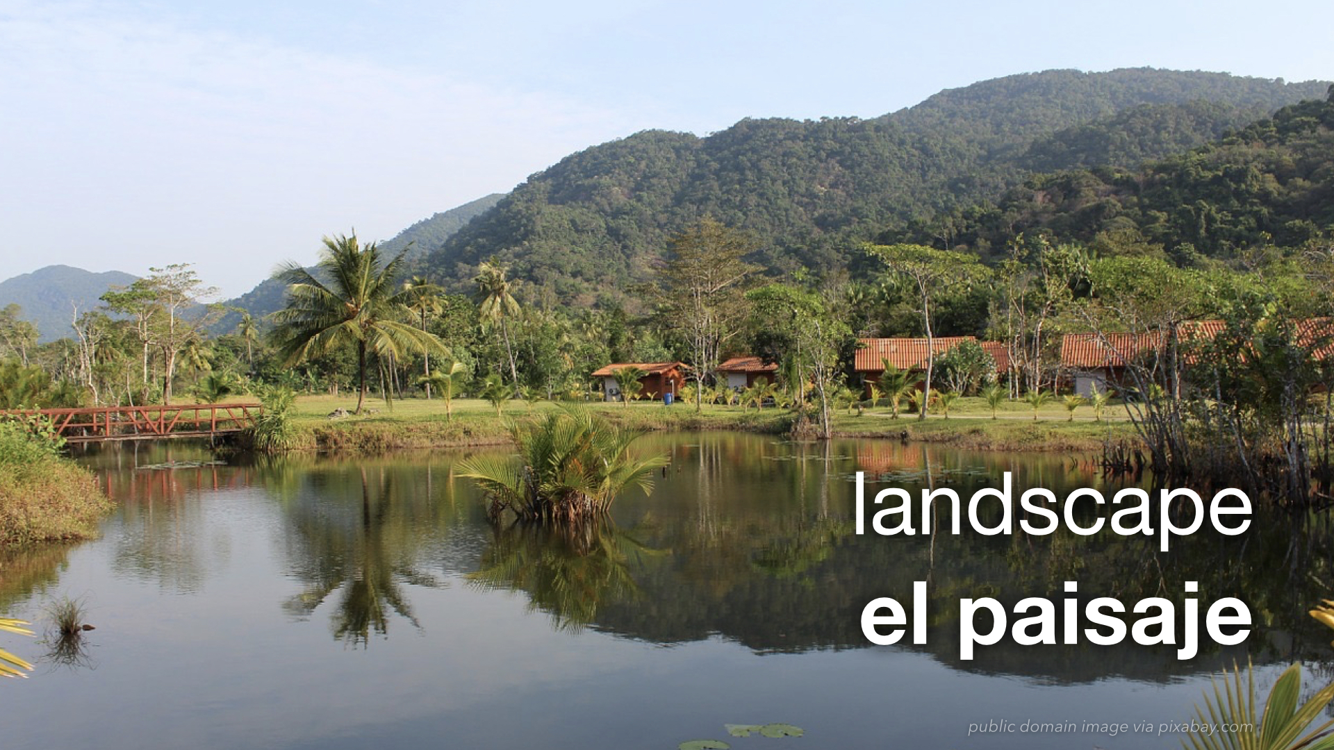 Spanish Vocabulary: The Rainforest : The LEAF Project