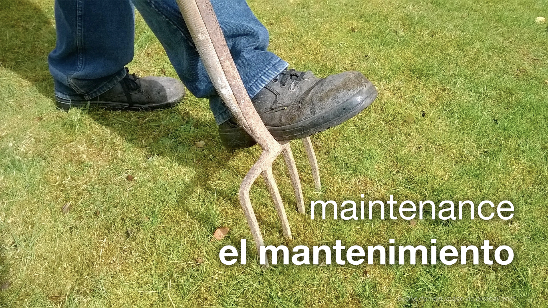 Spanish Vocabulary: Career Paths : The LEAF Project