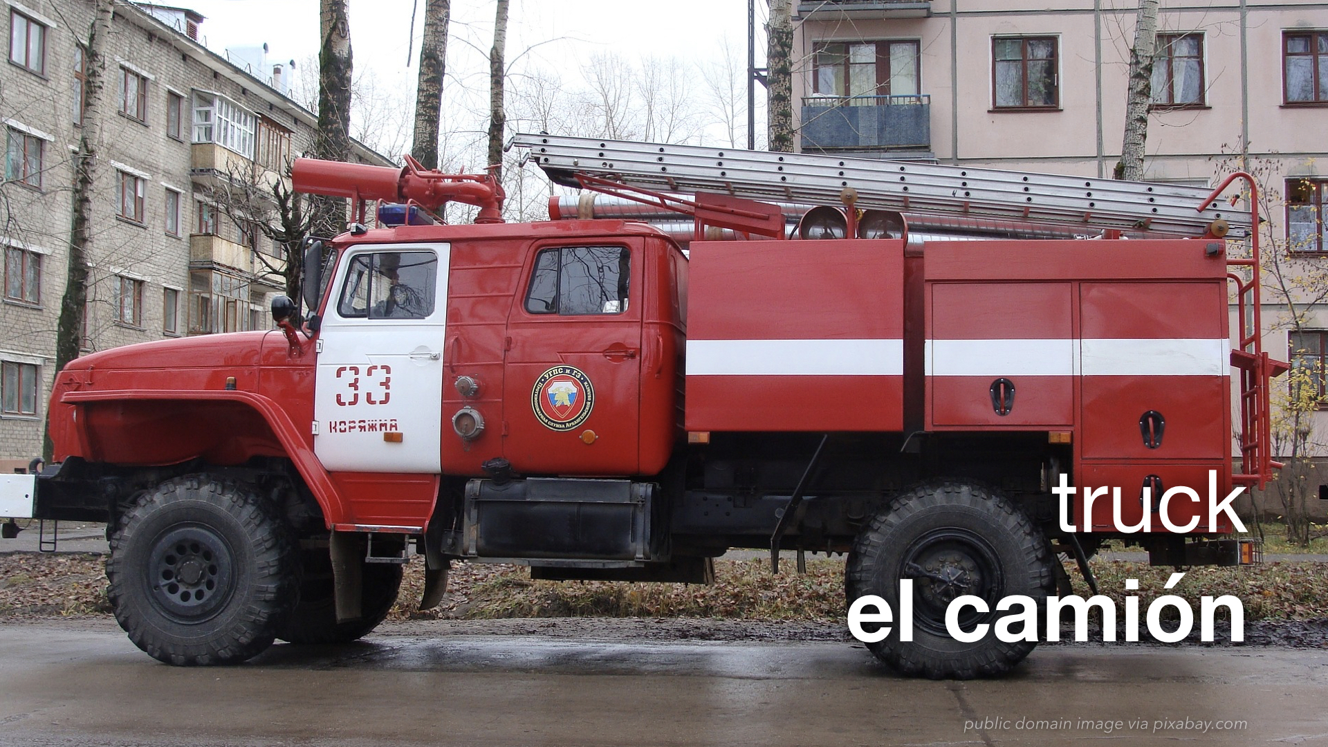 Spanish Vocabulary: Disaster Recovery : The LEAF Project