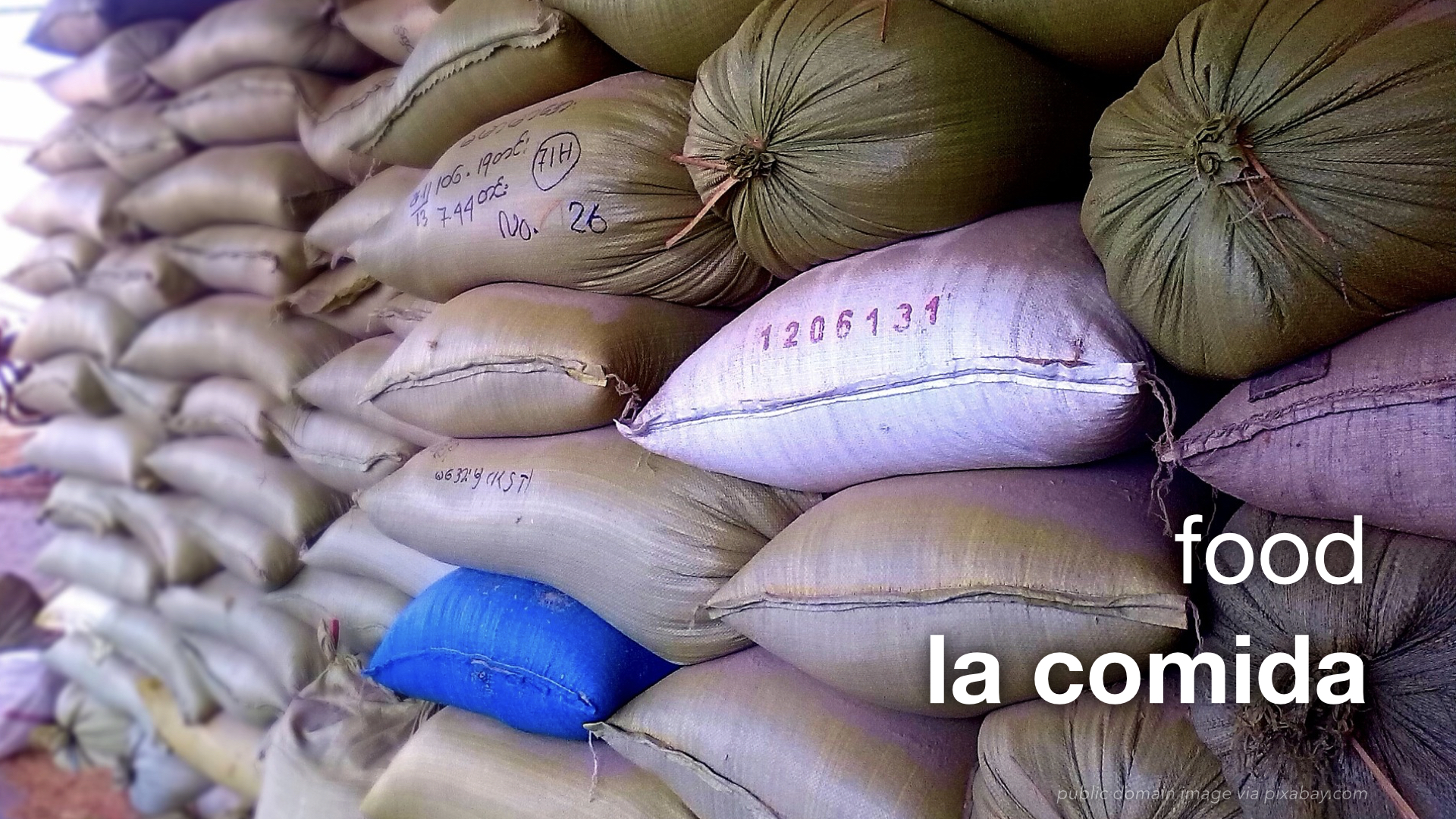 Spanish Vocabulary: Disaster Recovery : The LEAF Project