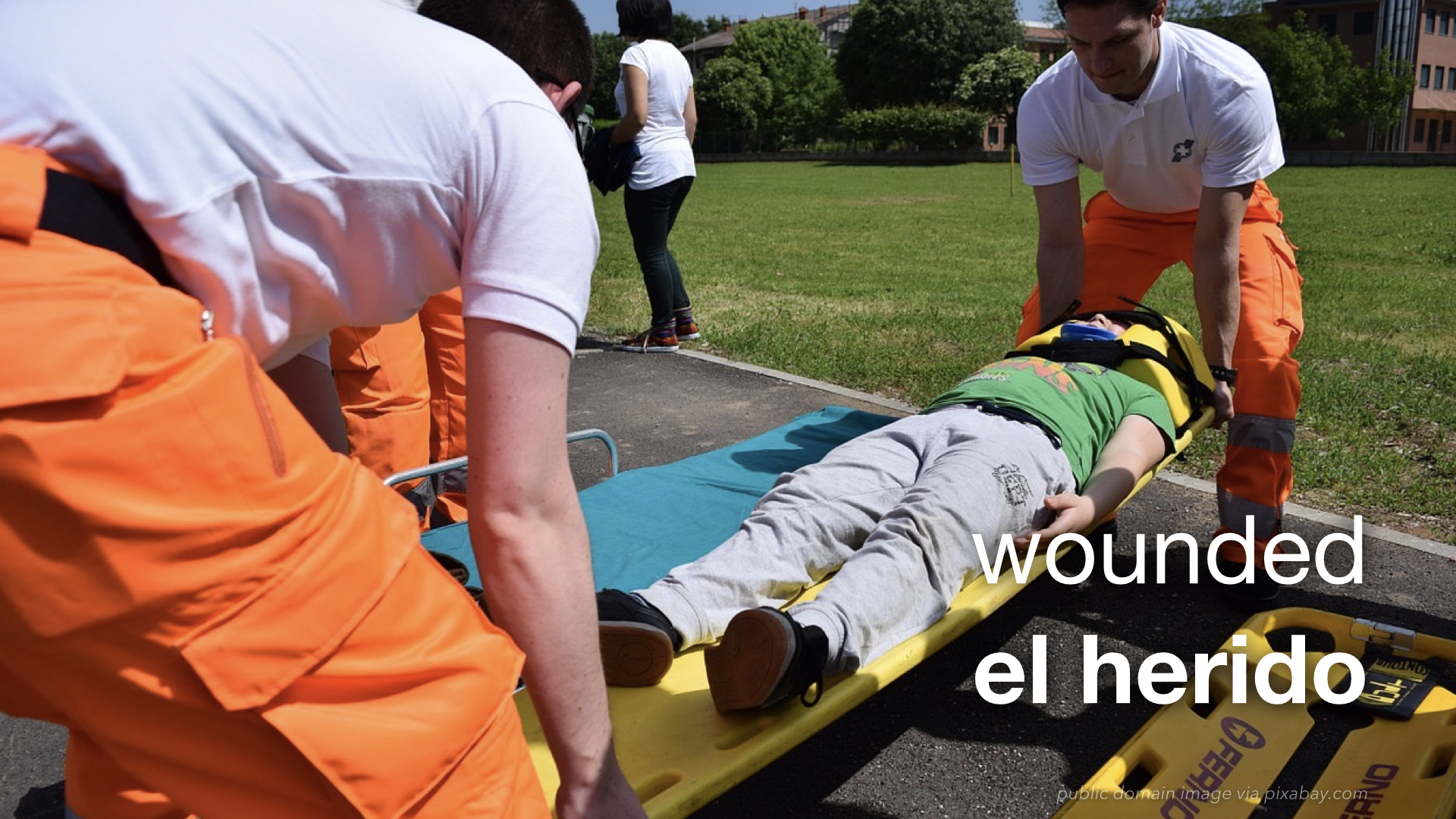 Spanish Vocabulary: Disaster Recovery : The LEAF Project