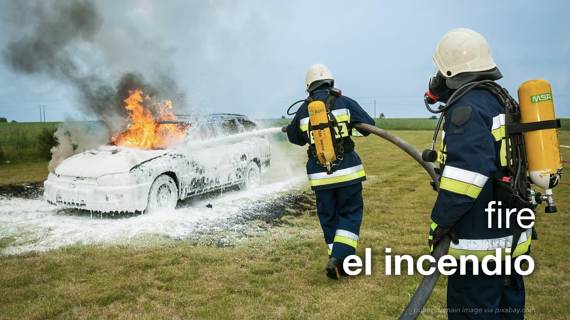 Spanish Vocabulary: Disaster Recovery : The LEAF Project