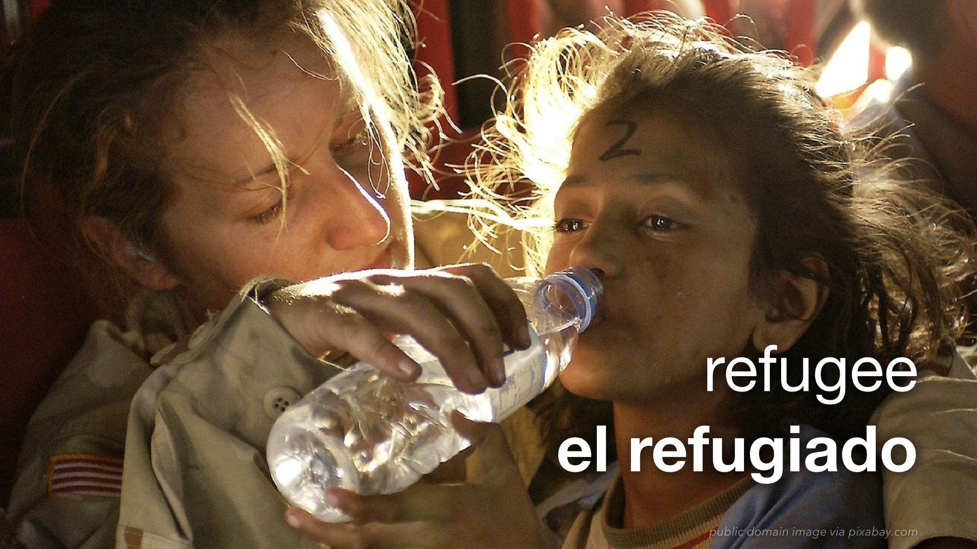 Spanish Vocabulary: Disaster Recovery : The LEAF Project