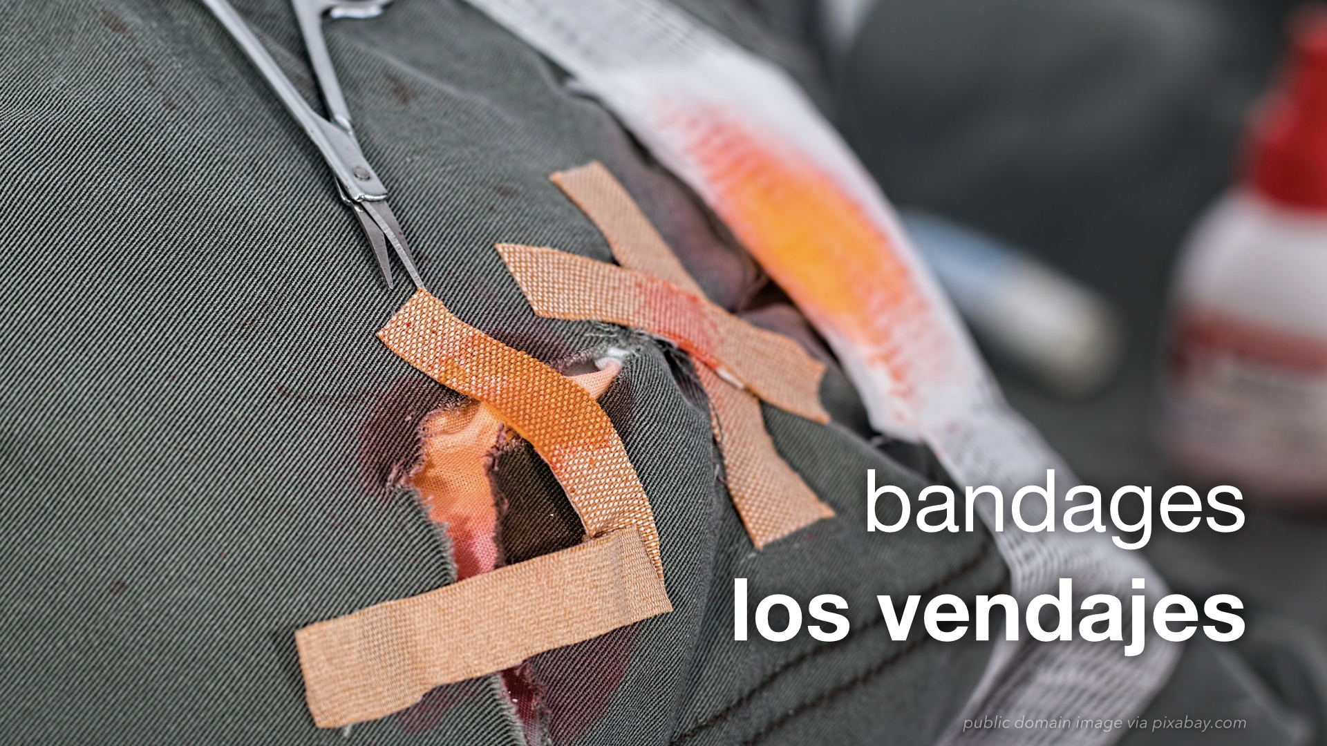 Spanish Vocabulary: Disaster Recovery : The LEAF Project