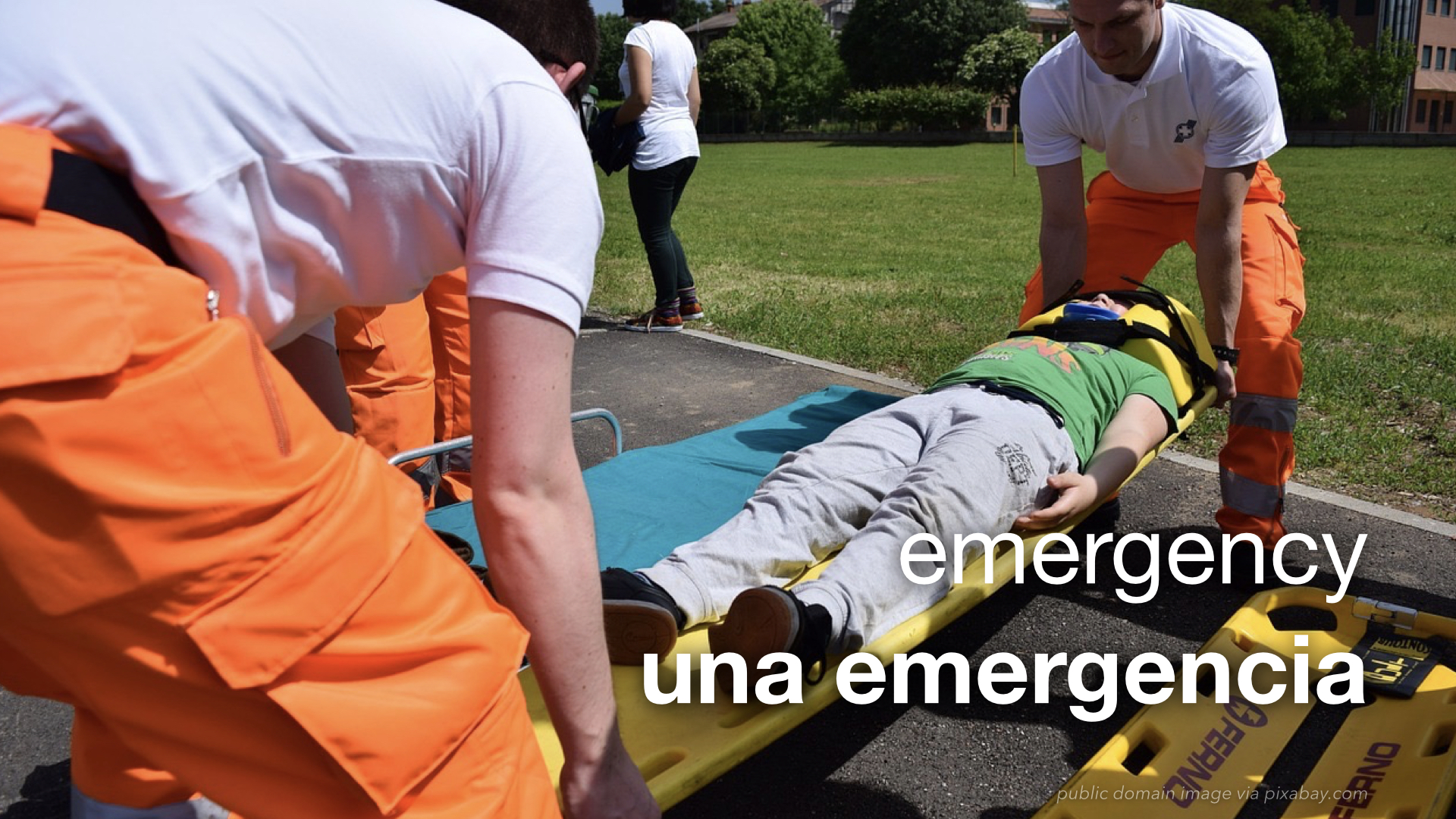 Spanish Vocabulary: Emergency Services : The LEAF Project