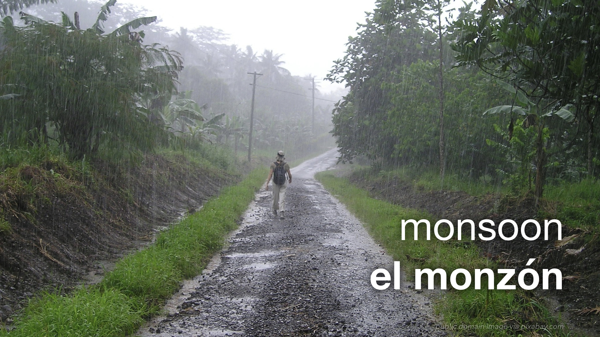 Spanish Vocabulary: Natural Disasters : The LEAF Project