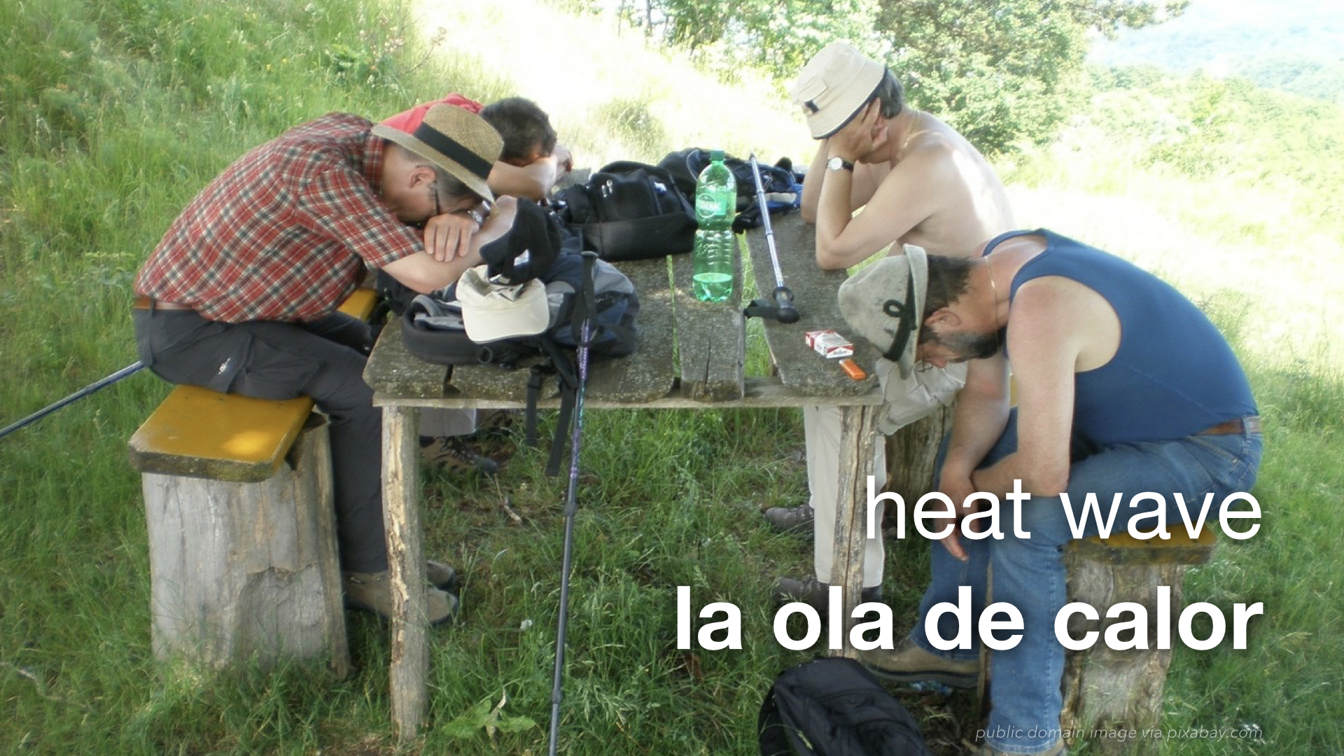 Spanish Vocabulary: Natural Disasters : The LEAF Project