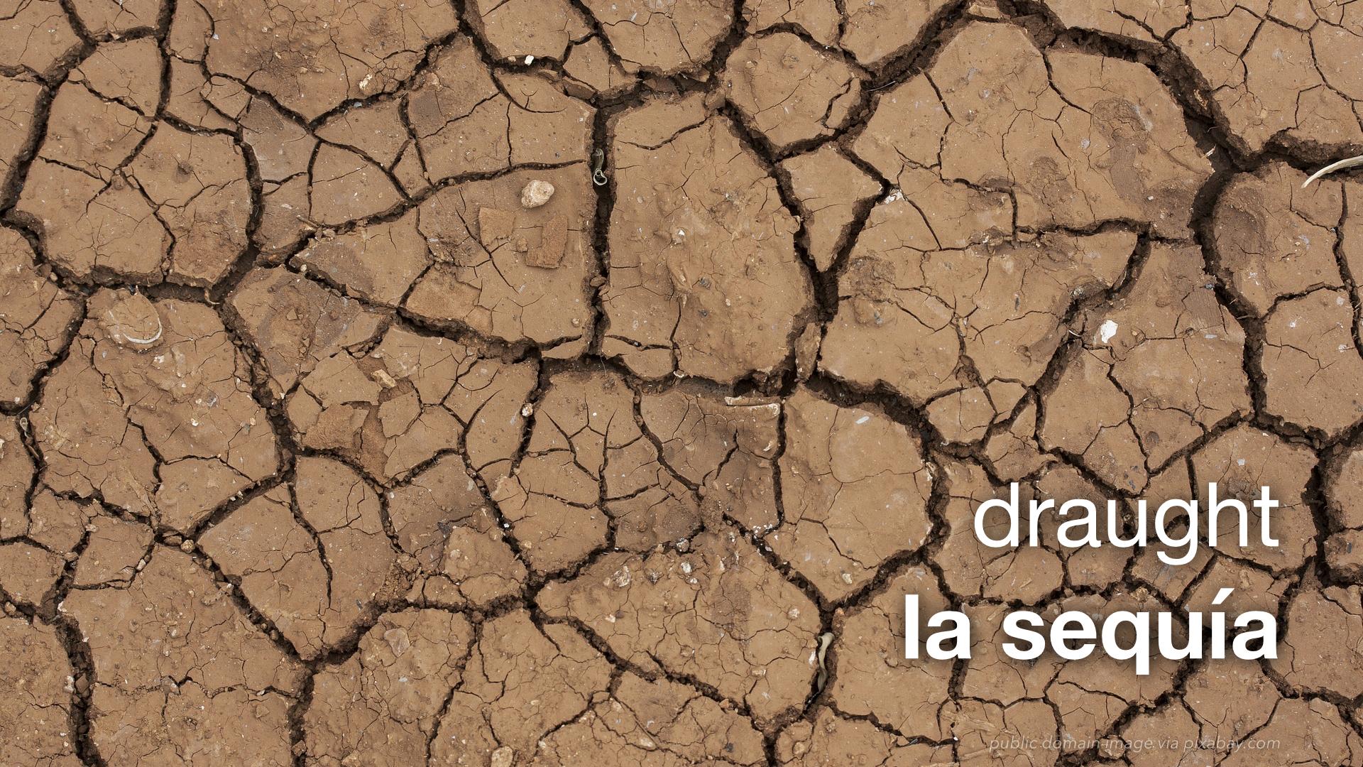 Spanish Vocabulary: Natural Disasters : The LEAF Project