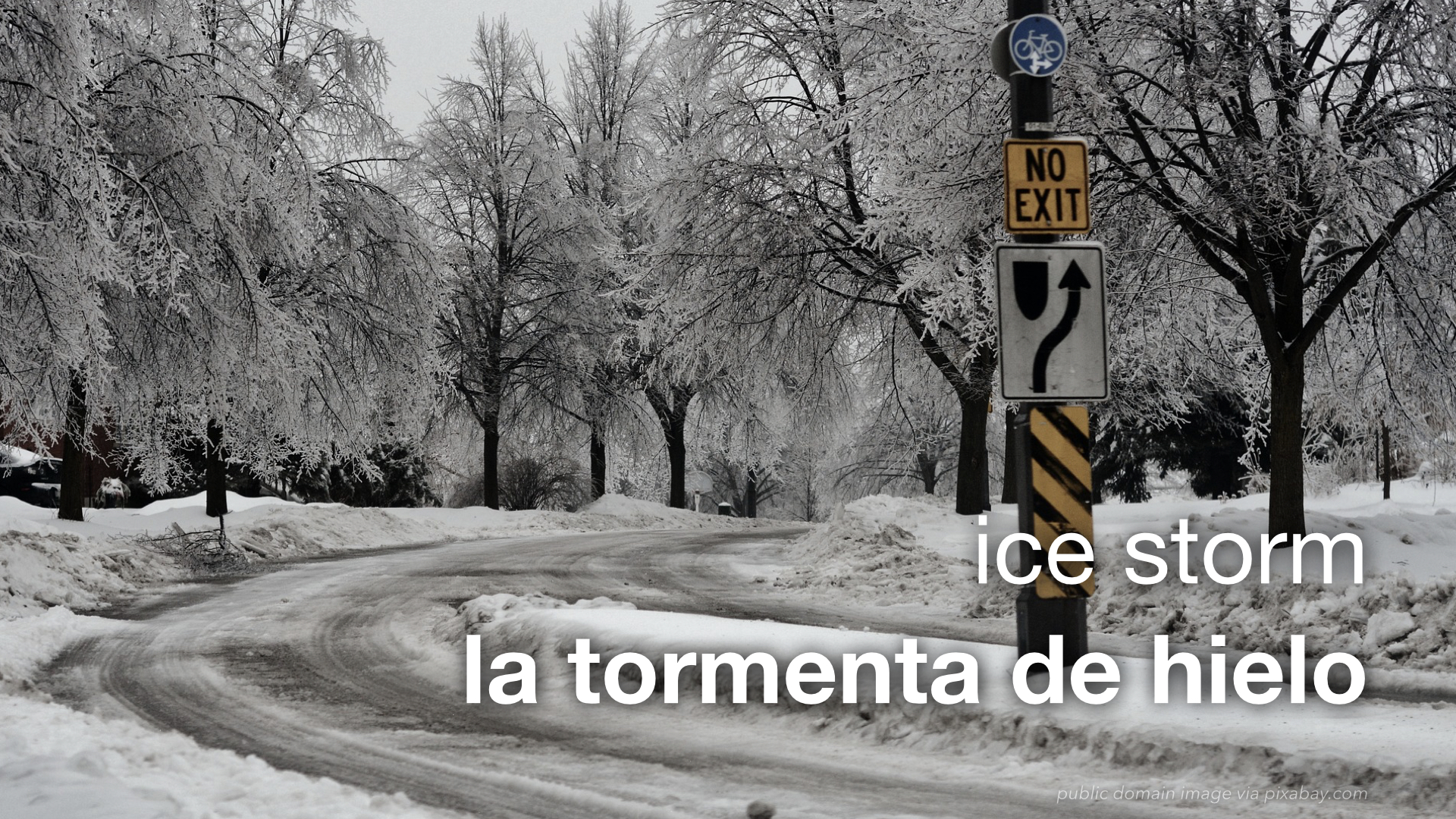 Spanish Vocabulary: Natural Disasters : The LEAF Project