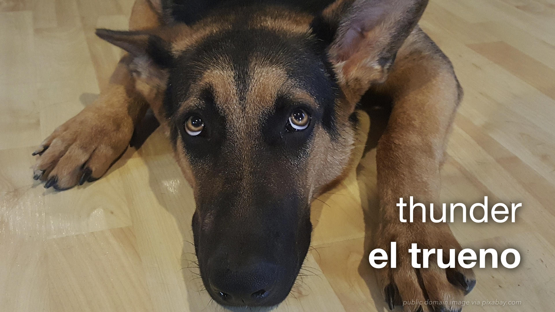 Spanish Vocabulary: Natural Disasters : The LEAF Project