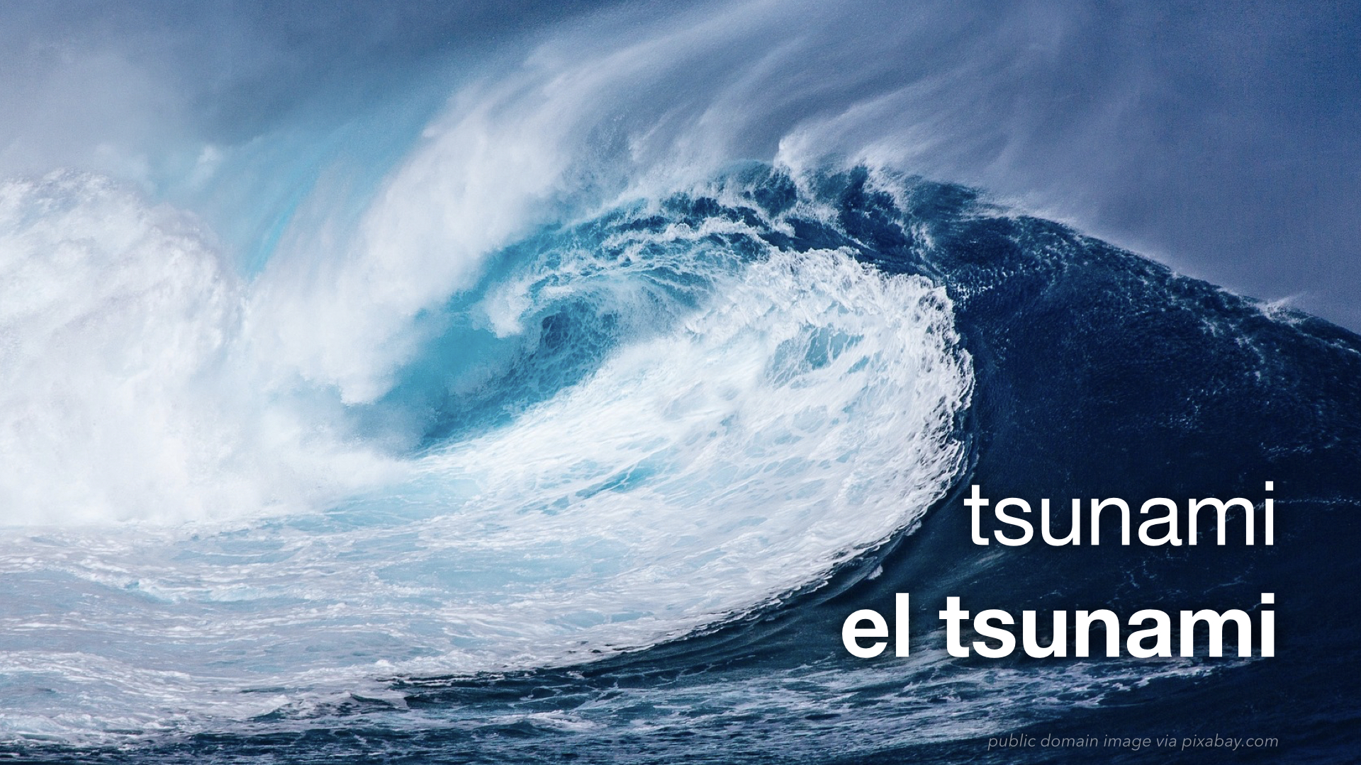 Spanish Vocabulary: Natural Disasters : The LEAF Project