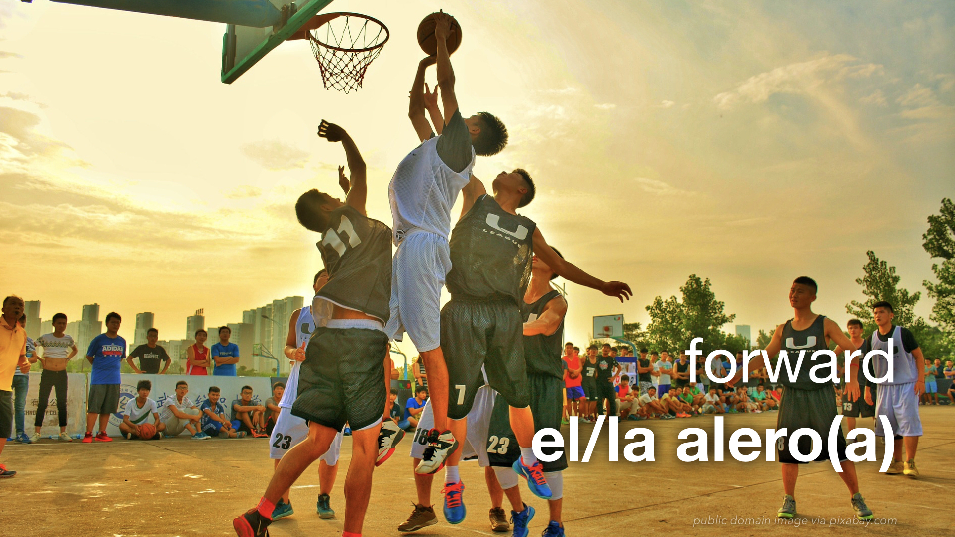 Spanish Vocabulary: Basketball : The LEAF Project