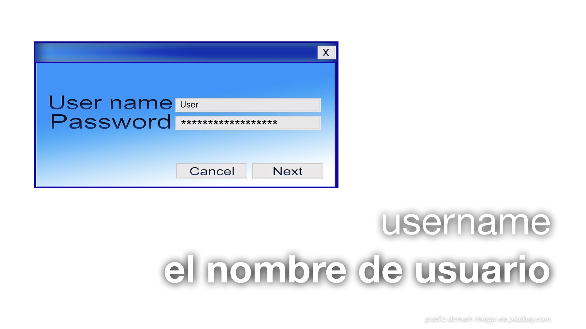 Spanish Vocabulary: Internet – Basics : The LEAF Project
