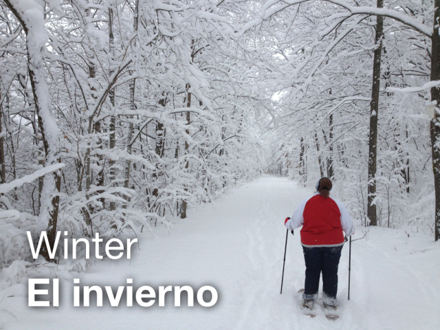 LEAF Spanish Photo Flashcards – Winter / Invierno : The LEAF Project