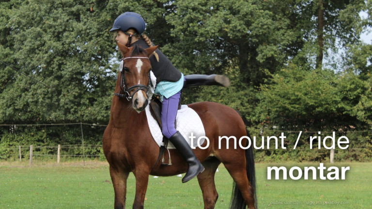 Spanish Vocabulary: Common Regular [-AR] Verbs : The LEAF Project