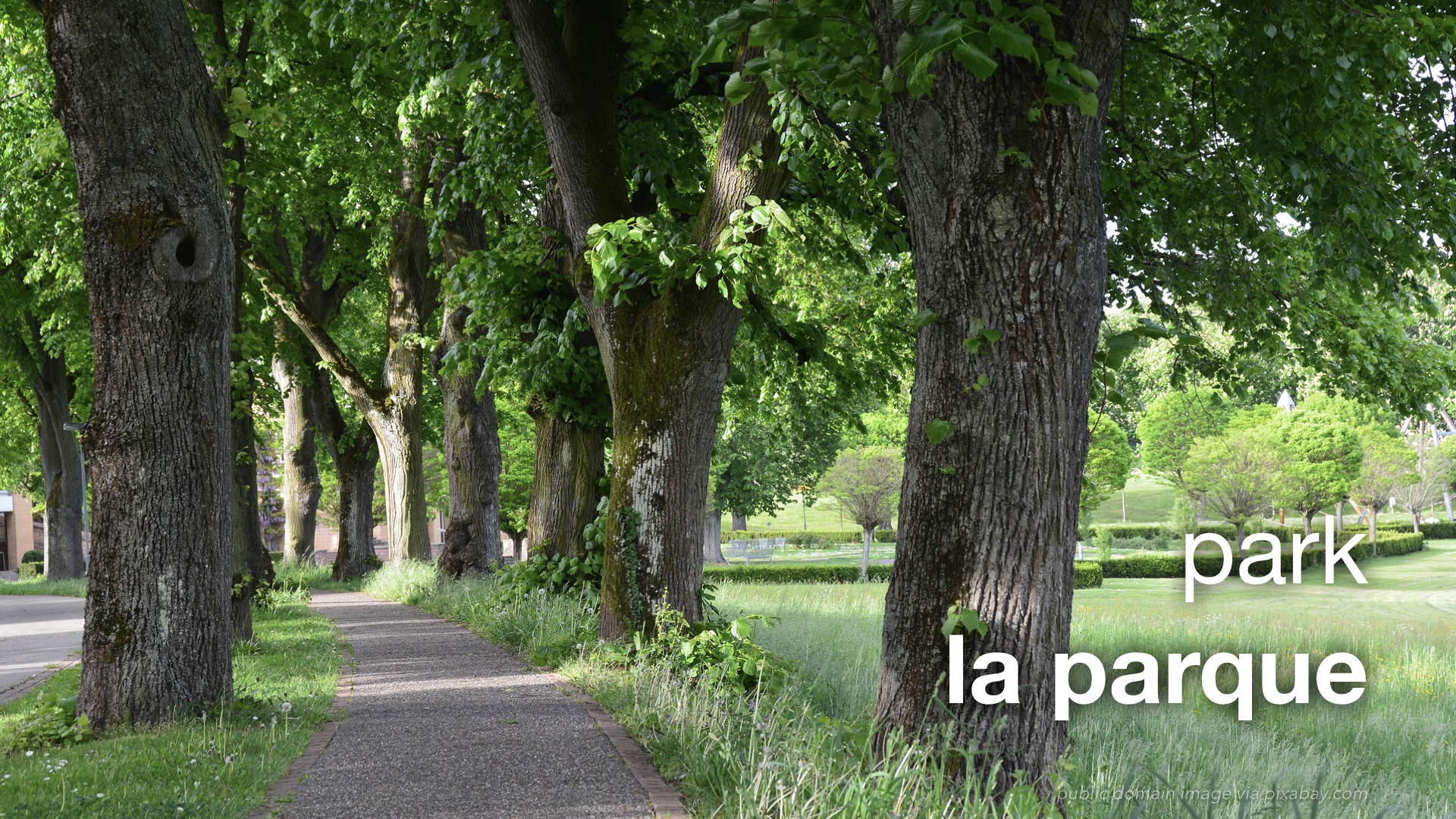 Spanish Vocabulary: Viticulture and Enology – Places Around Town : The ...