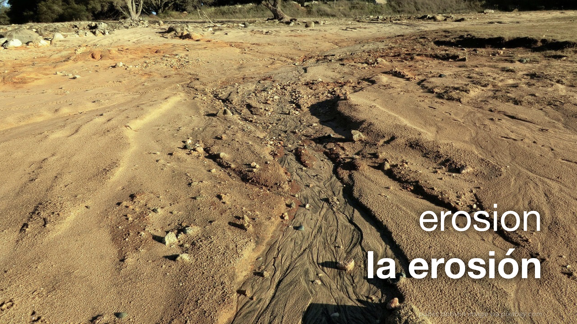 Spanish Vocabulary: Viticulture and Enology – Soil and Growing ...